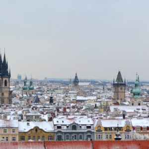 Spring Paused: Snow and Winter to Make a Return