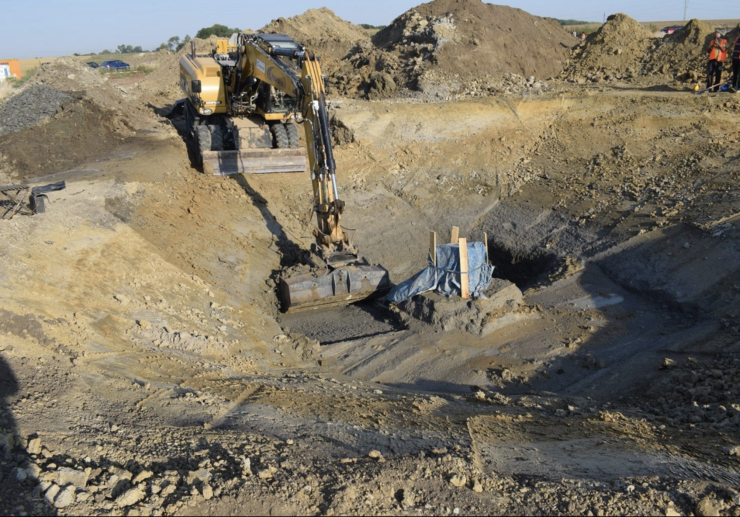 World's Oldest Man-Made Wooden Structure Found in the Czech Republic