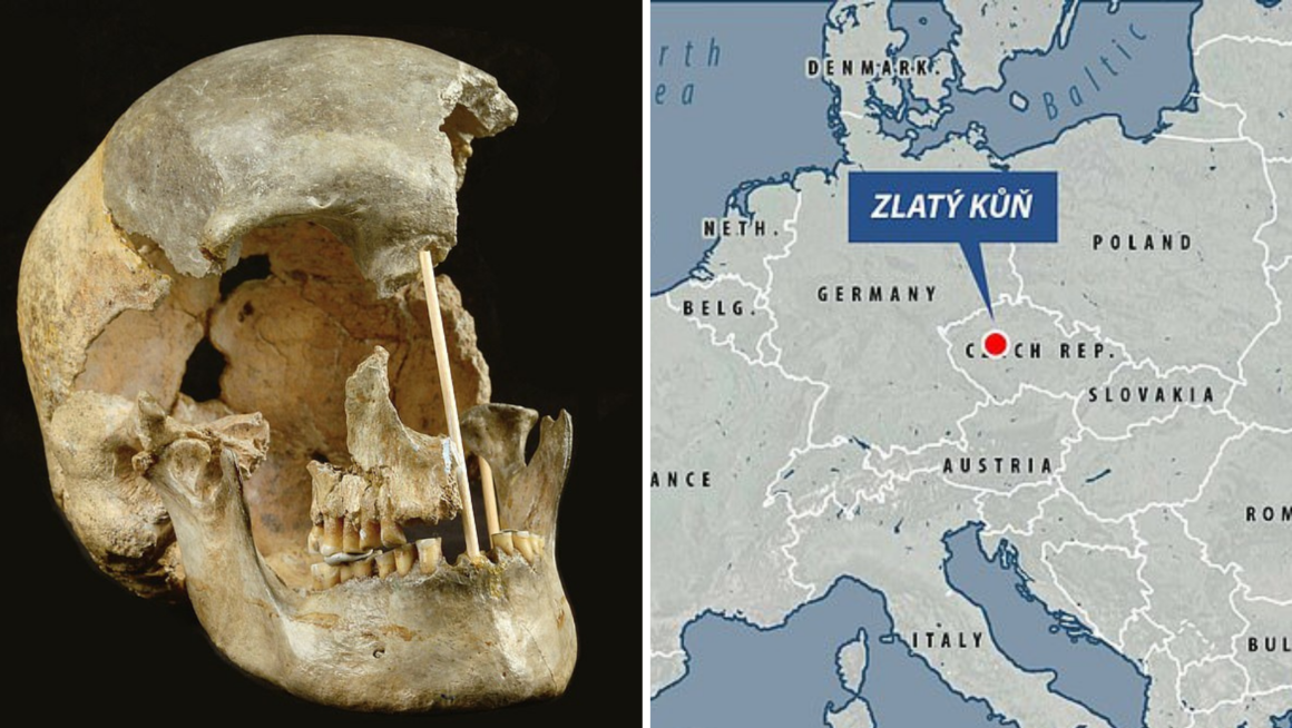 Skull Discovered in Czechia Dates Back 45,000 Years. It's the Oldest ...