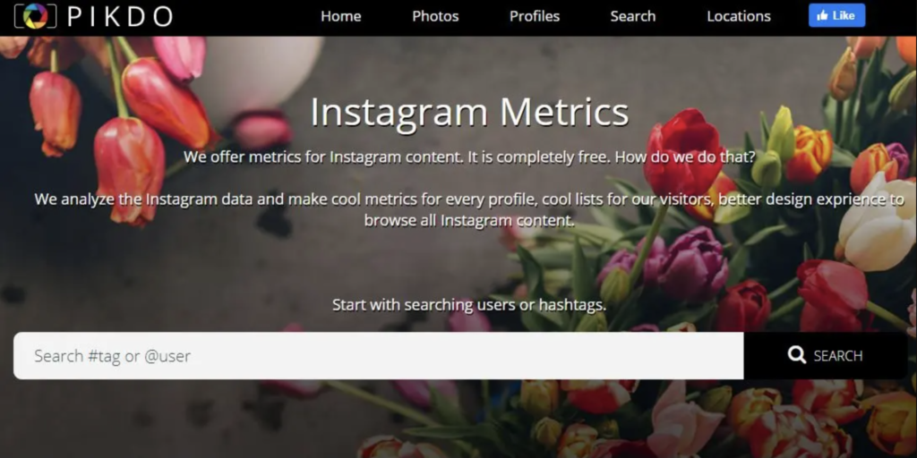 Pikdo: All About Instagram Online Viewer