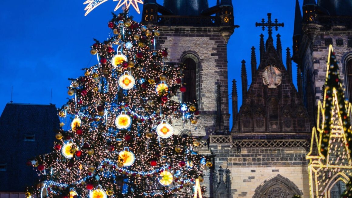 Prague As a Local: Obora Hvězda Forest Park