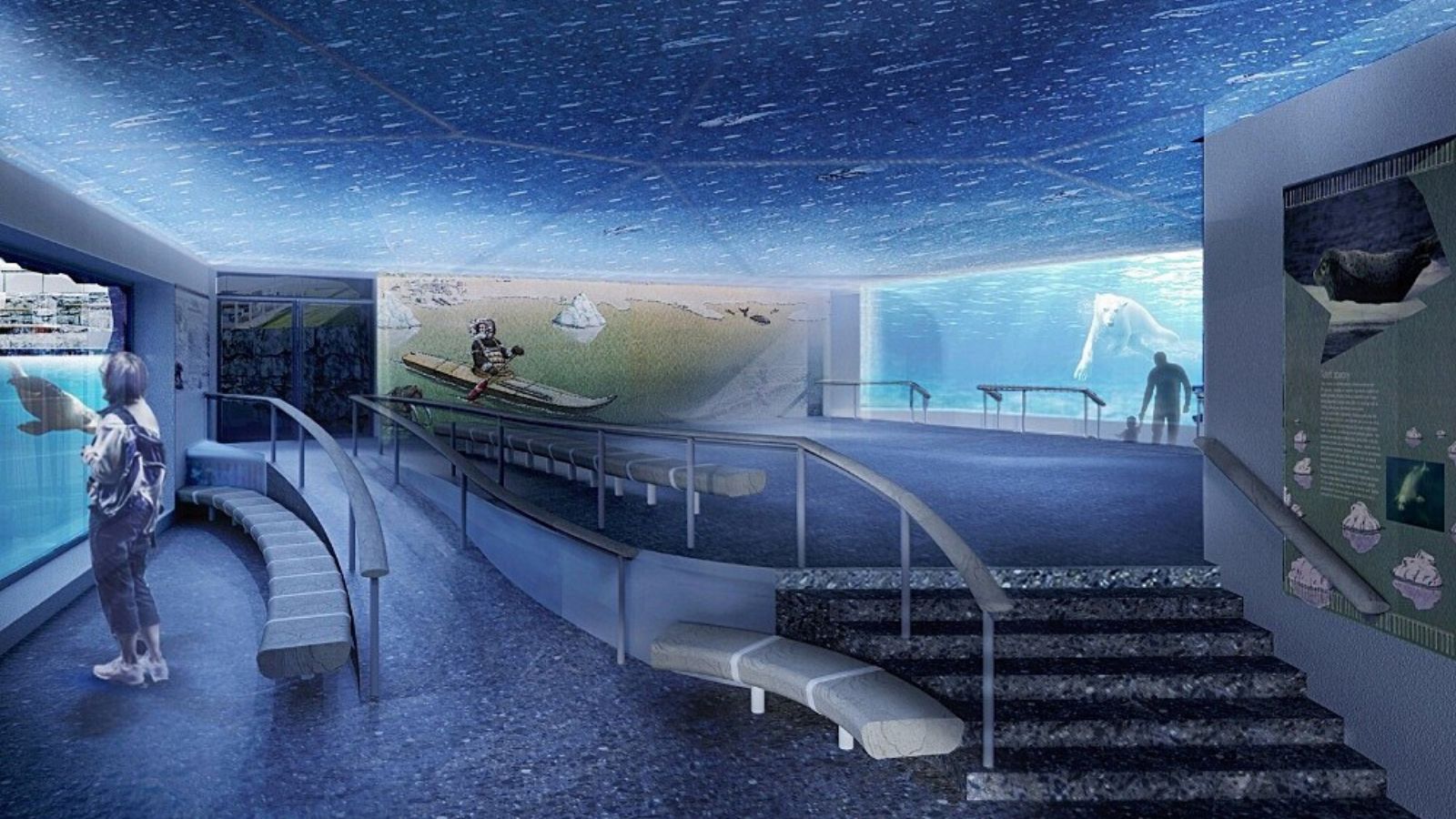 Prague Zoo to Build New Pavilions for Polar Bears