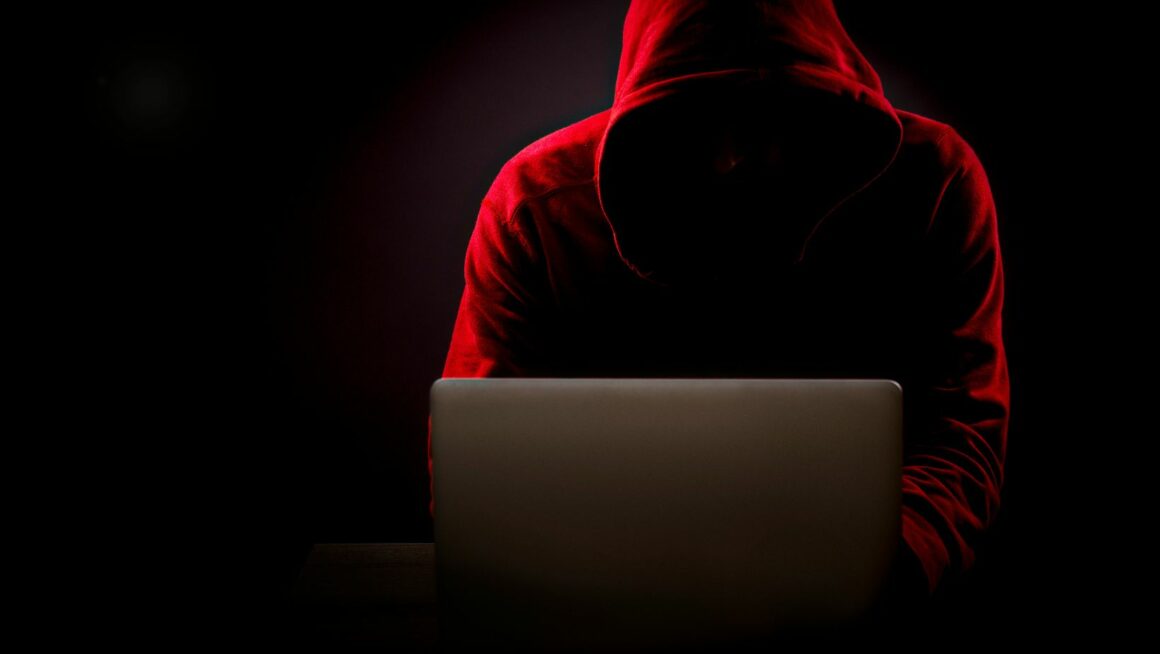 What are the Facts and Myths of the Dark Web?