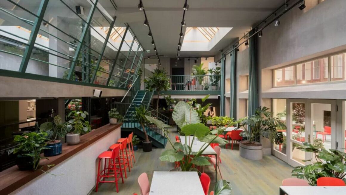 How to Live Longer? Café in Prague Offers DNA Analysis With Your Coffee