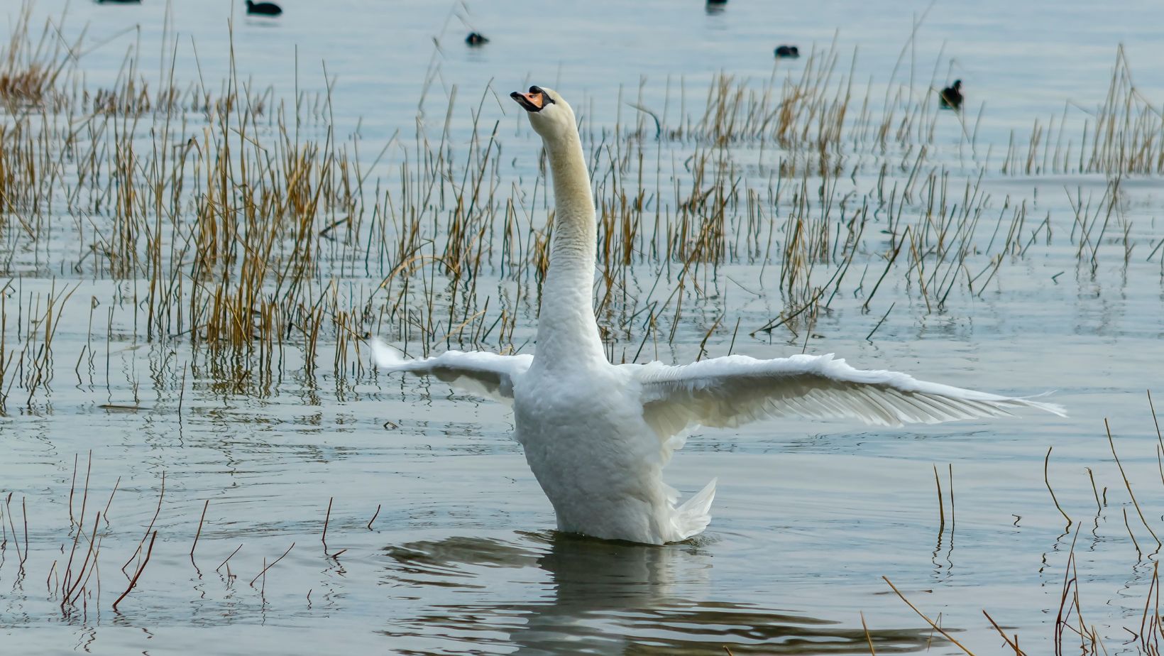 Discover the Enchanting Beauty of Hungary: Historic Cities, Lakes ...